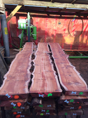 Timber Services | Wainwright Timber Ltd